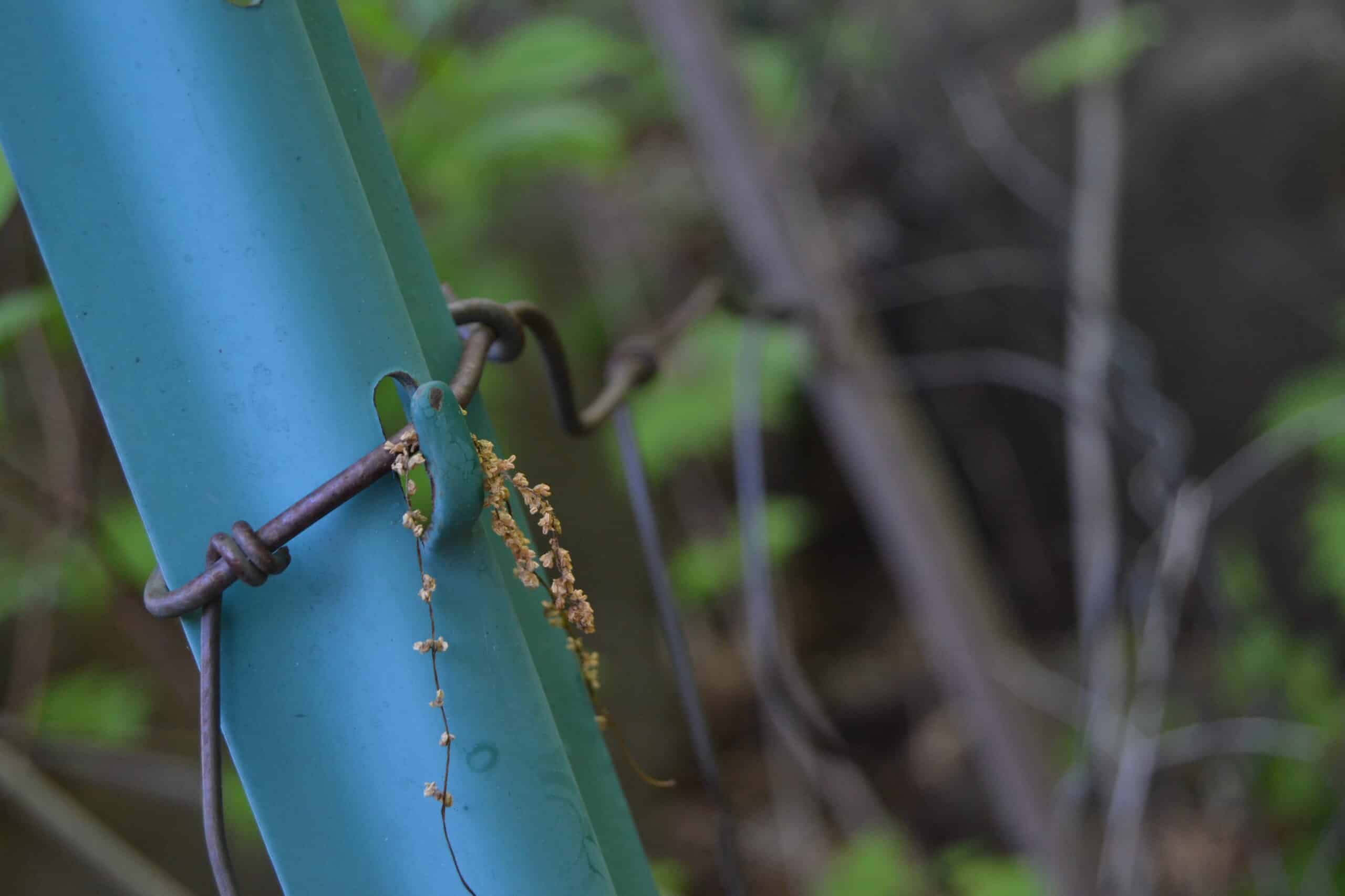 Not counting minutes, just moments - Souly Rested