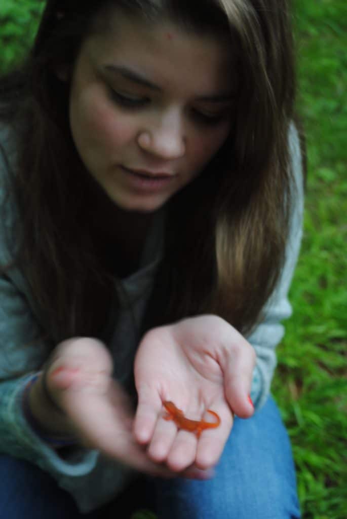 Spring Peepers & 3 simple steps to getting kids excited about nature ...