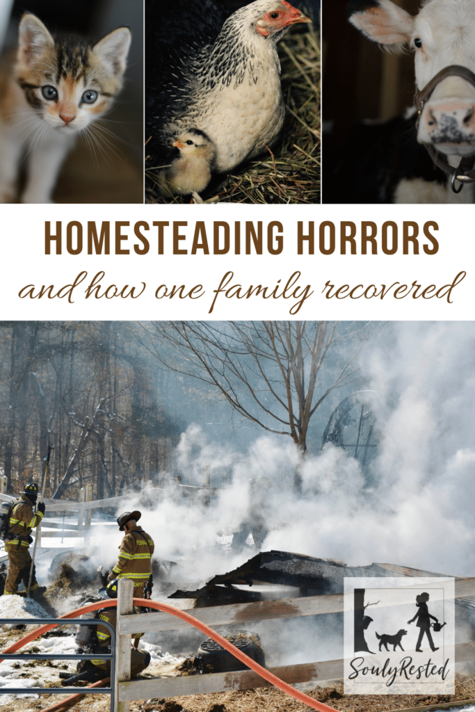 The Many Challenges of Homesteading - Souly Rested