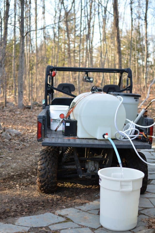 How to make syrup–using pumps for collecting sap - Souly Rested