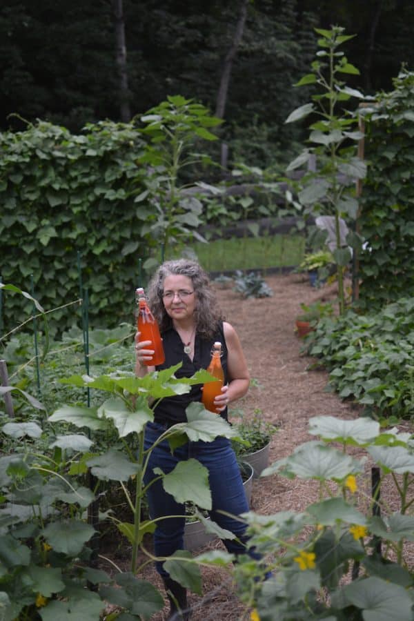 The Ultimate Guide to Herbs for Tea - Souly Rested