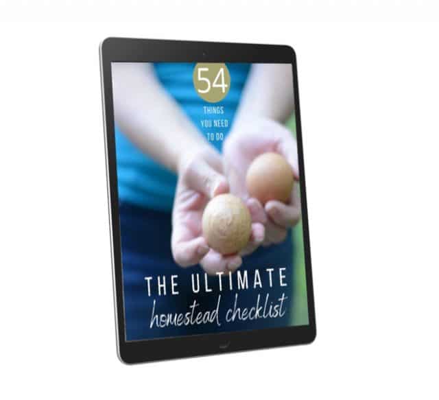 A Homestead Checklist For Every Season - Souly Rested