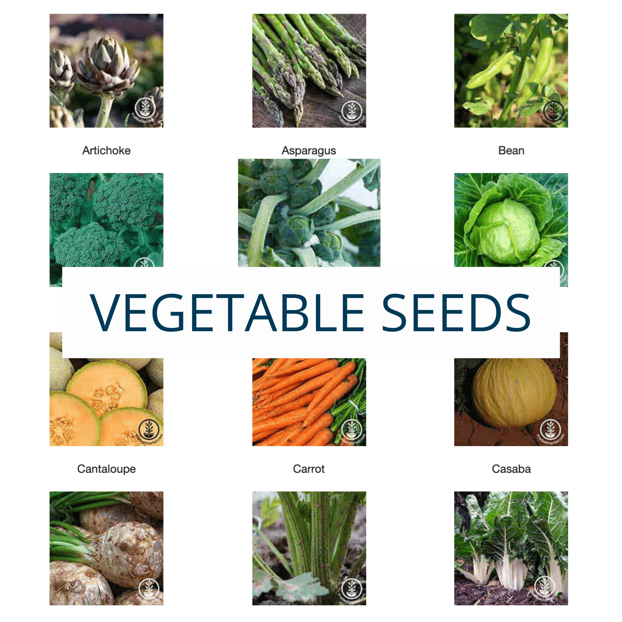 What Every Gardener Needs - Souly Rested