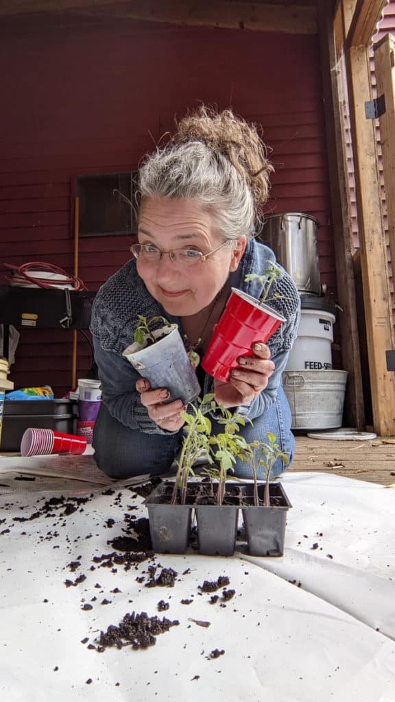 Grow seedlings to sell for profit - Souly Rested