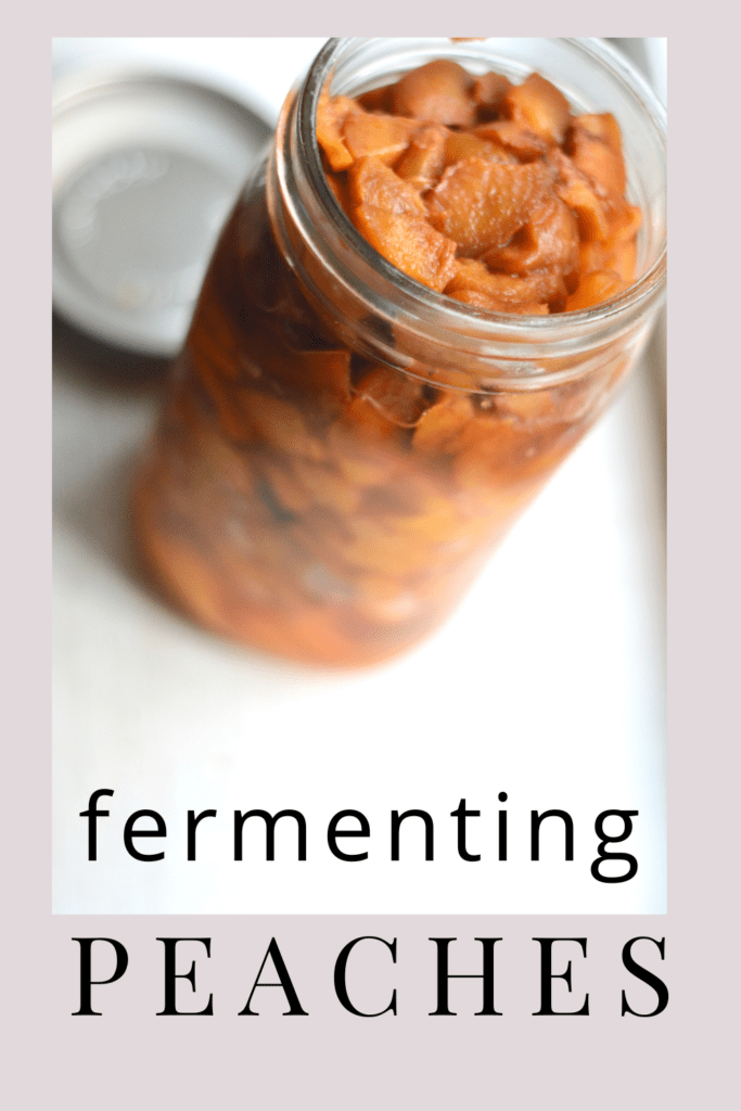 Fermenting Peaches - Souly Rested