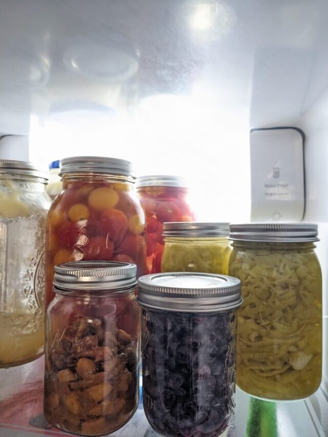 Fermenting Peaches - Souly Rested