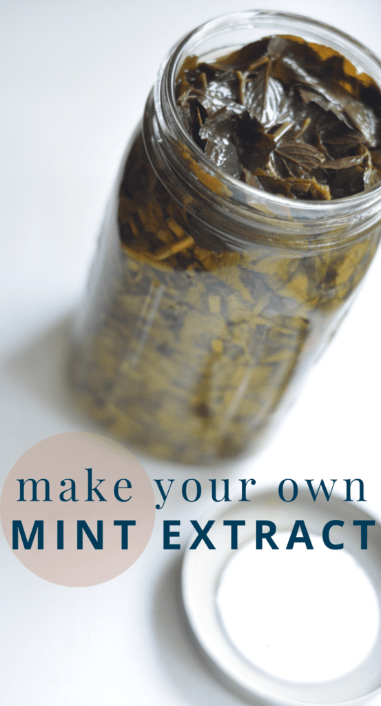 DIY Mint Extract & How to Use it - Souly Rested