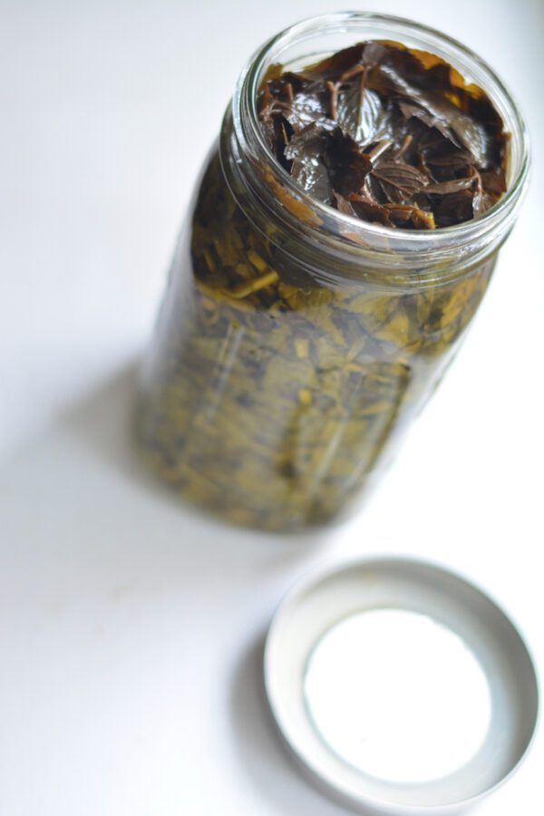 DIY Mint Extract & How to Use it - Souly Rested