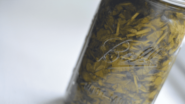 DIY Mint Extract & How to Use it - Souly Rested