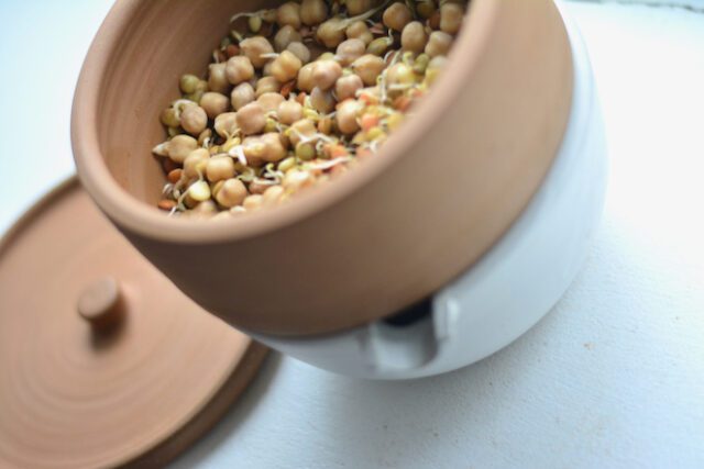 How to Grow Sprouts, with Doug Evans - Souly Rested