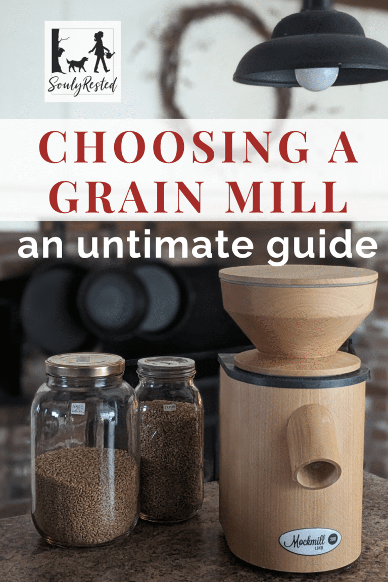 The Ultimate Guide to Choosing a Grain Mill (& 6 questions to ask ...