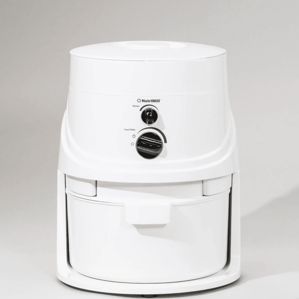 Wheat berries: everything you need to know