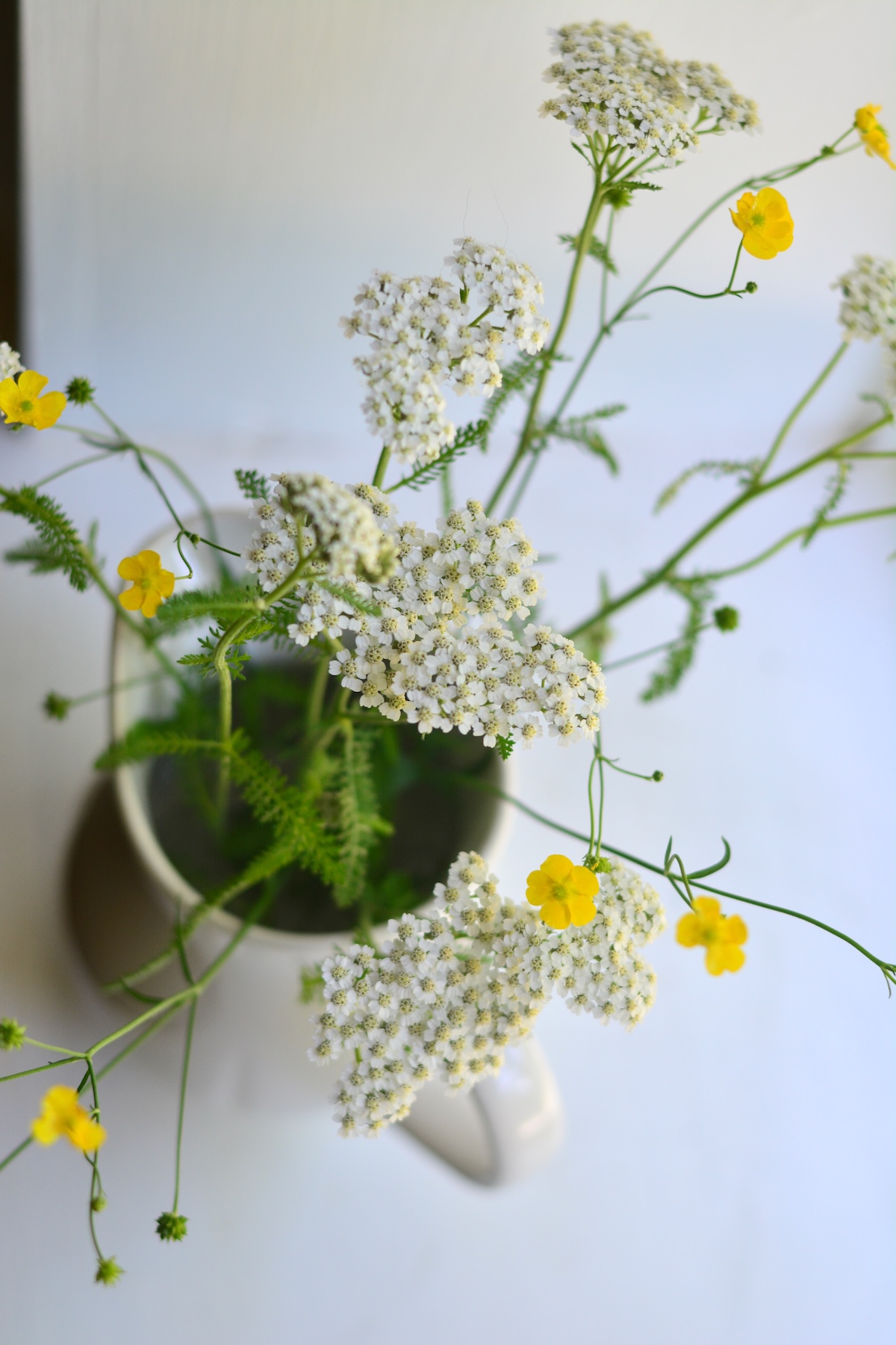 Yarrow & elderflower tea | A tea worth foraging for - Souly Rested