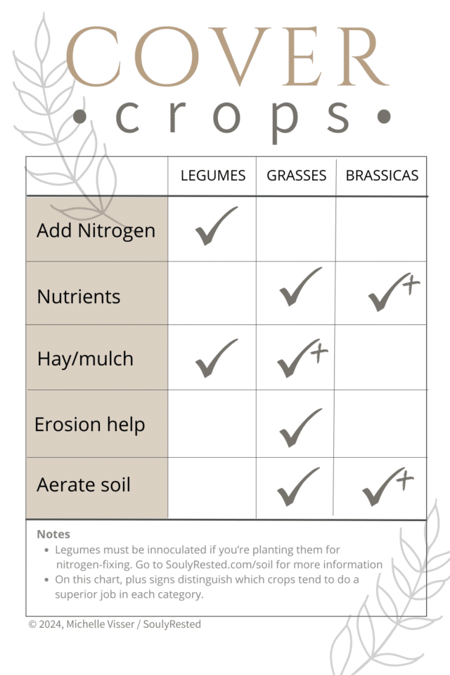 The Ultimate Guide to Planting a Cover Crop in a Home Garden - Souly Rested