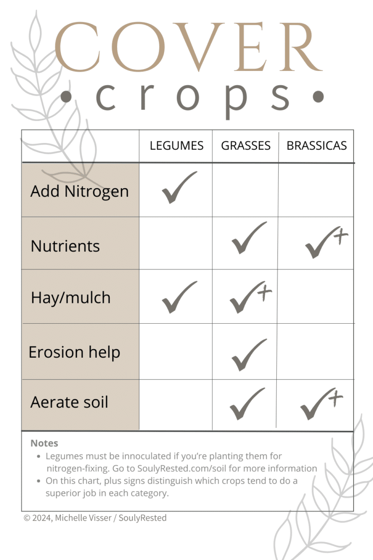 The Ultimate Guide to Planting a Cover Crop in a Home Garden - Souly Rested