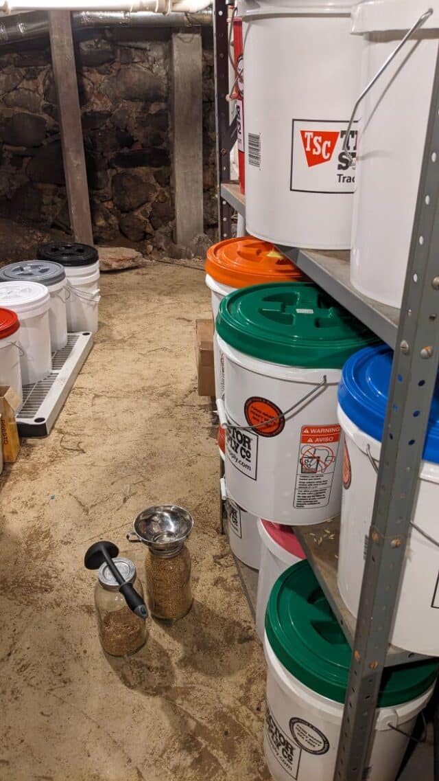 How to store wheat berries 101 - Souly Rested