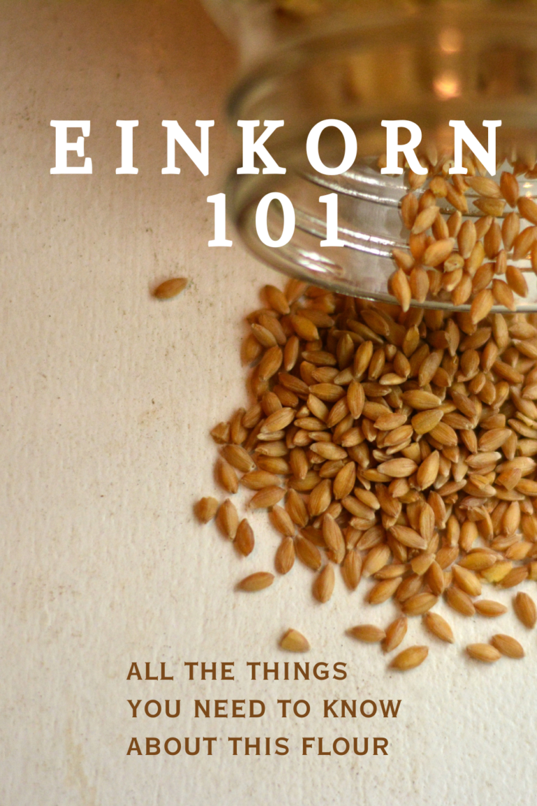 Einkorn 101: history, milling, flaking, cooking & more - Souly Rested